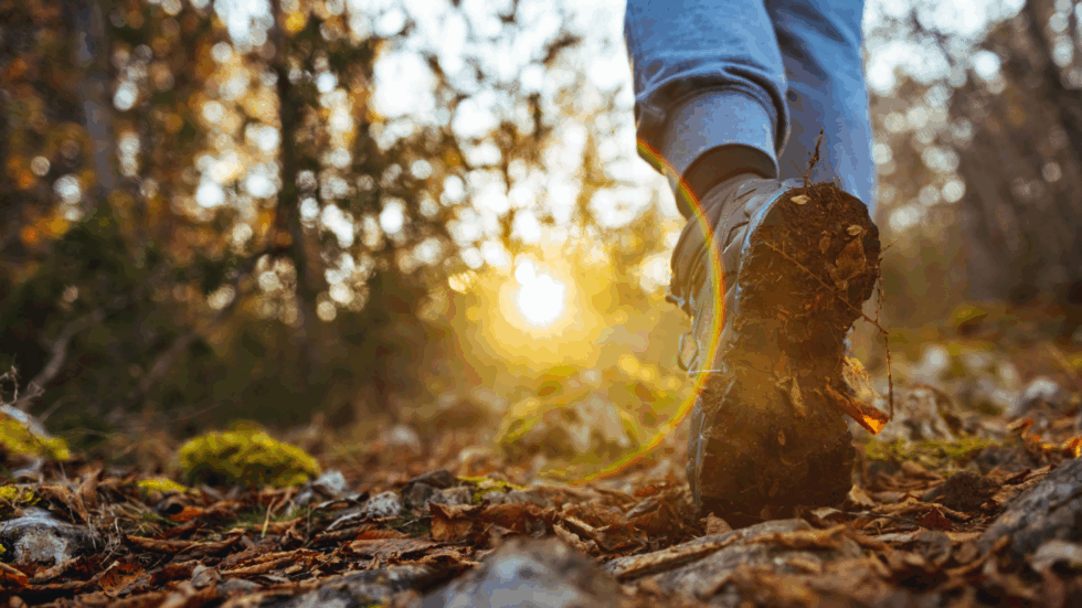 Indigenous Healing Practices | Begin Your Healing